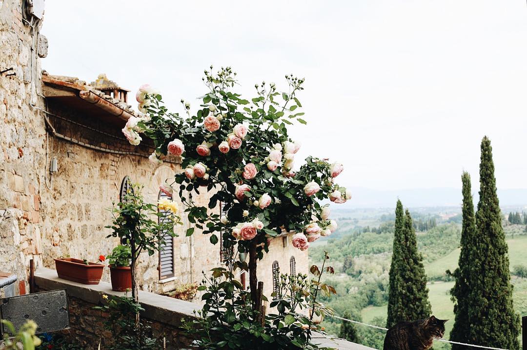Have a Beautiful Weekend. | Cup of Jo