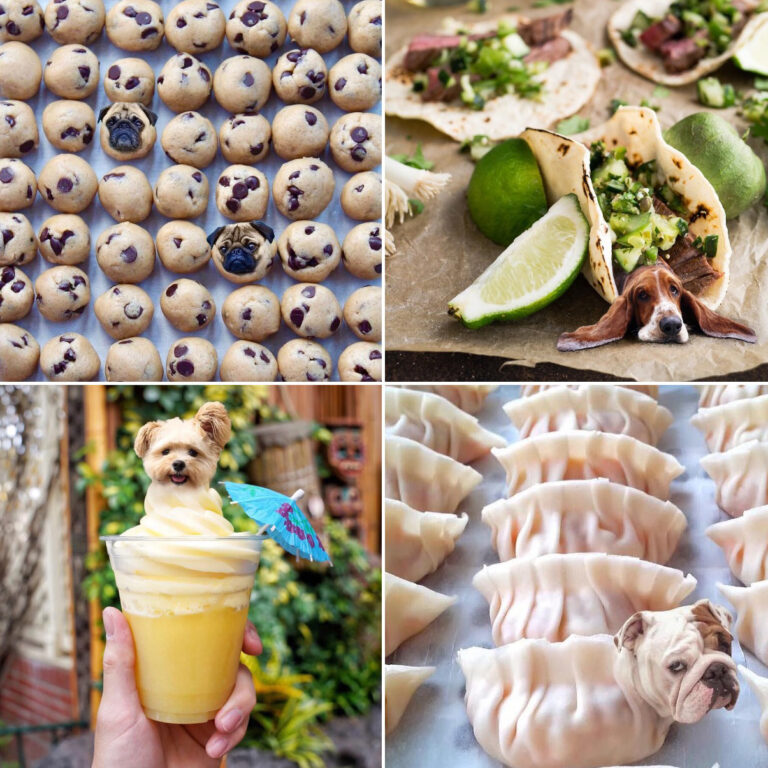 8 Great Instagram Accounts | Cup of Jo