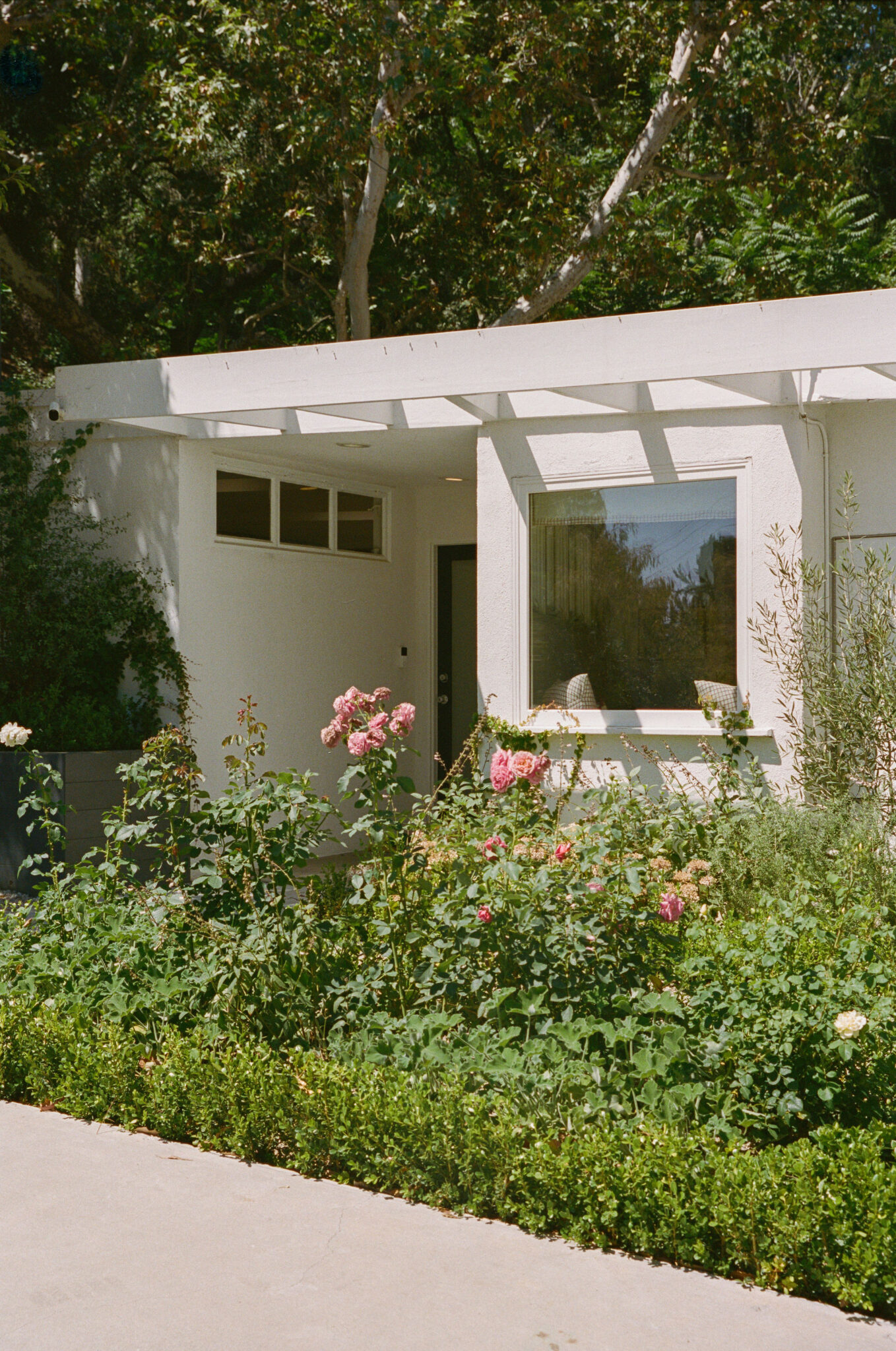 Heather Taylor's L.A. Home Is a Patterned Fever Dream | Cup of Jo
