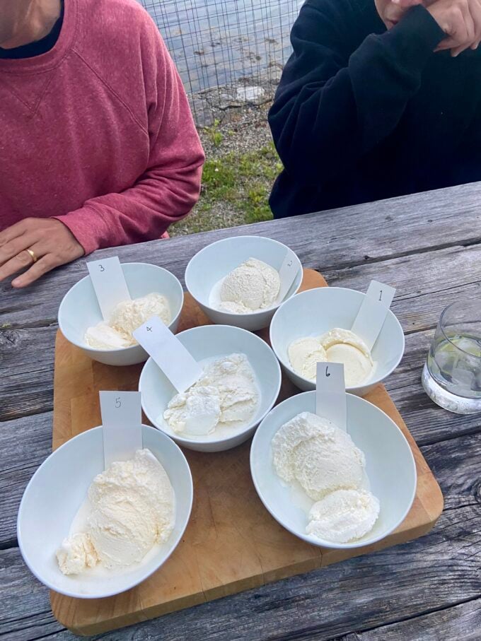 Taste Test: What's the Best Vanilla Ice Cream? | Cup of Jo