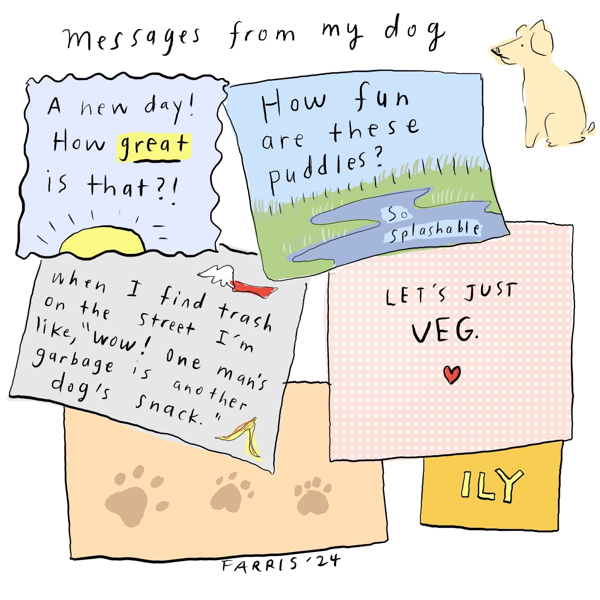 Messages From My Dog | Cup of Jo