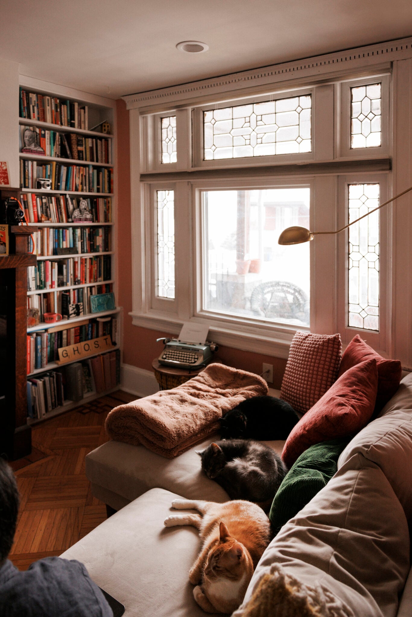 A Colorful Philly House With Three Cats and Herbal Tea on Tap | Cup of Jo