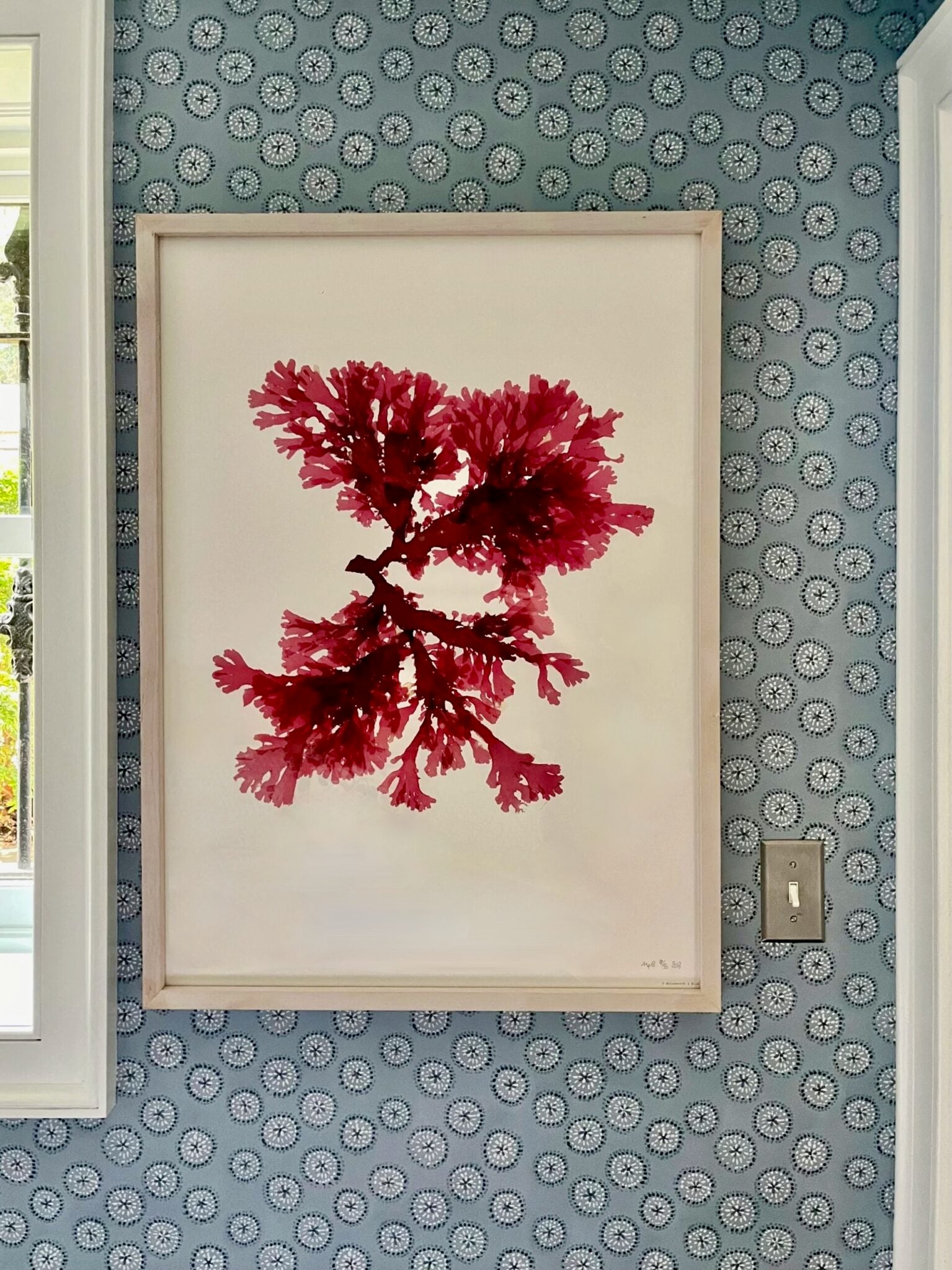 Seaweed Artwork | Cup of Jo